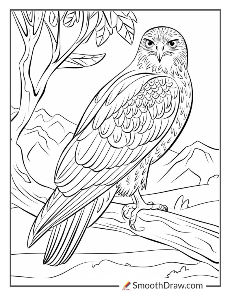 55 Bird Coloring Pages (Free PDF Printables)
